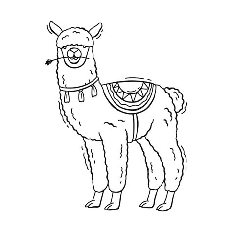 Vector Cuu Svg Tải Xuống Vector Chất Lượng Cao Miễn Phí Từ Freepik