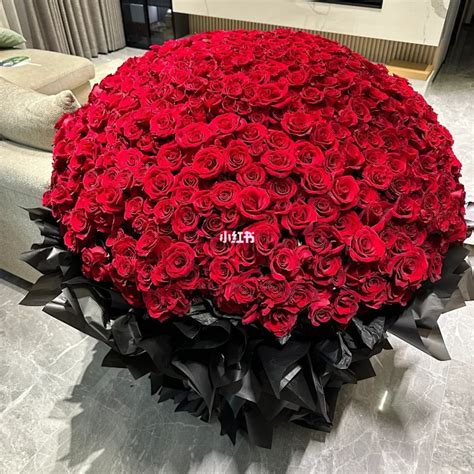 999朵红玫瑰花束 花瓣网