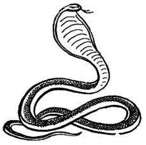 Рикки тикки тави картинки раскраски 72 фото