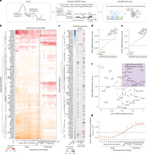 Pooled Crispr Screens With Joint Single Nucleus Chromatin Accessibility