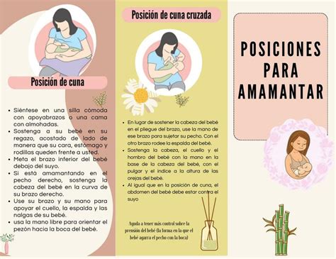 Resúmenes De Posiciones Para Amamantar Descarga Apuntes De Posiciones