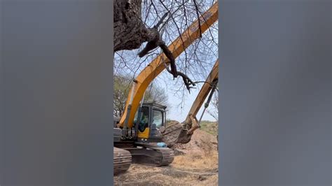 Poklen Jcb Jcb Shorts Youtube