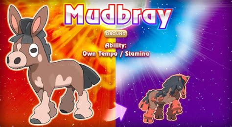 Pokémon What Level Does Mudbray Evolve And 9 Other Things You Didnt