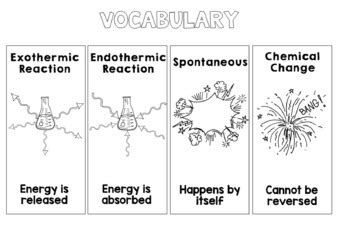 Physical Science Chemical Equations Reactions Lesson By Lucente S Mindscape