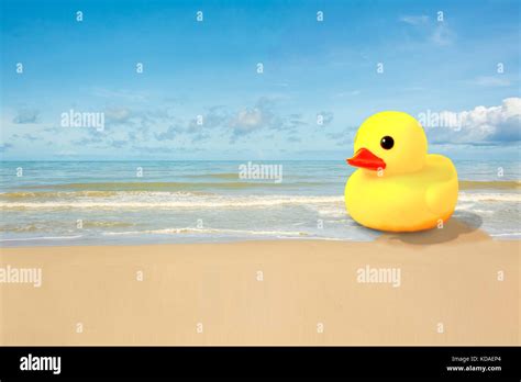 Duck Rubber On The Beach Stock Photo Alamy