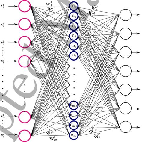 Multi Output Time Delay Neural Network For Modeling Bold Signals From