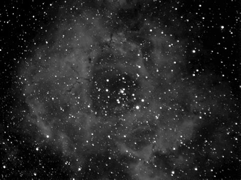 Ngc 2237 Astrobin