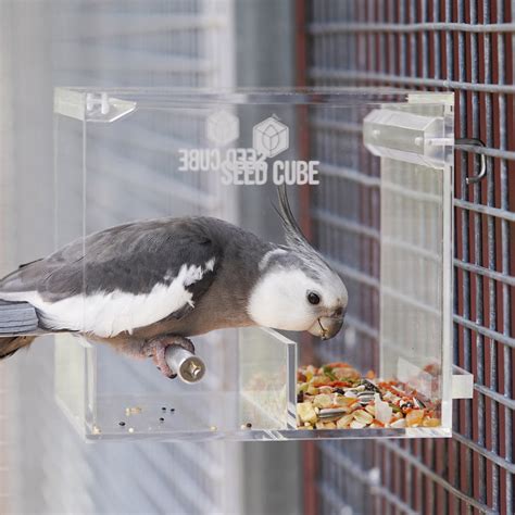Shop Seed Cube No Mess Bird Feeder