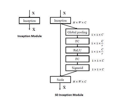 Squeeze And Excitation Networks Kardel