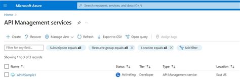 Azure Api Management And Resource Group Setup