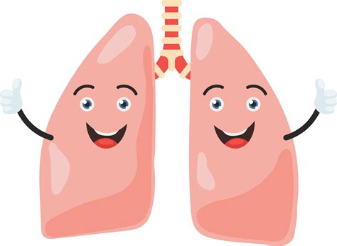 Targeted Lung Denervation Physician Emphysema Copd Research Center