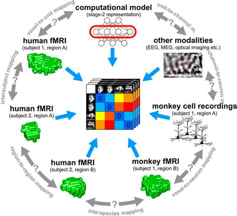comparing rdms through second order rsa can relate representational