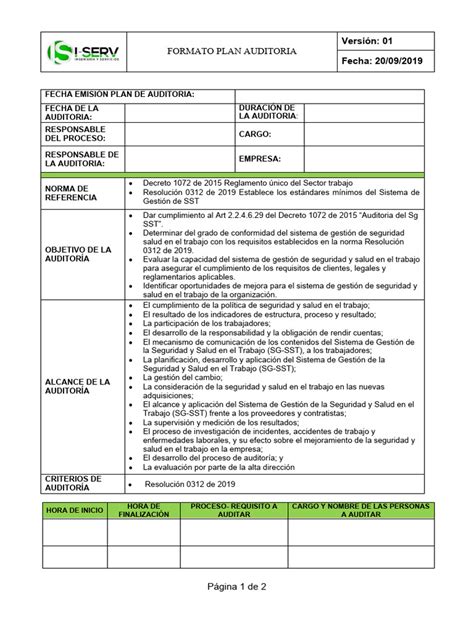 123 Formato Plan De Auditoria Pdf Auditoría Negocios Económicos