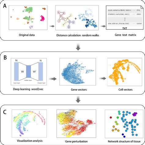 scrna seq data processing and analysis pipeline using natural language