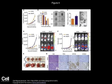 Volume 25 Issue 7 Pages E7 November 2018 Ppt Download