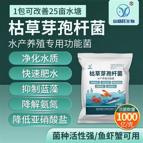 业盛旺水产枯草芽孢杆菌净化鱼虾塘水质肥水降解氨氮除蓝藻 虎窝淘