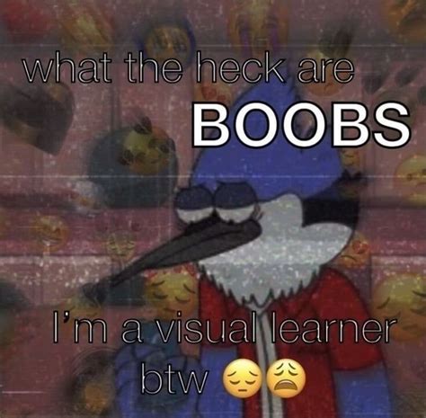What The Heck Are Boobs Im A Visual Learner Btw Ifunny