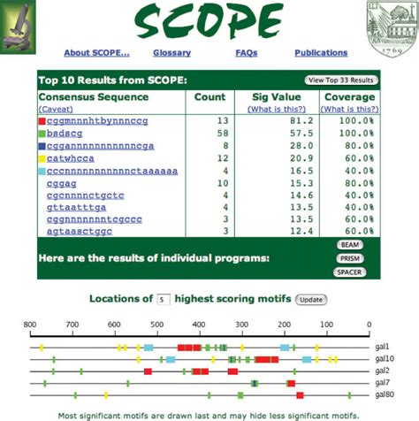 Top Level Results Of A Typical Run Of Scope The Results Are Shown For