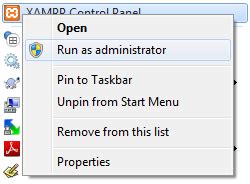 Installing XAMPP Make WordPress Core