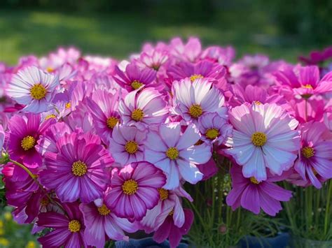 Brazier Farms Llc Added A New Photo Brazier Farms Llc