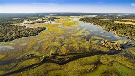 Unesco Declara Pantanal Reserva Da Biosfera Biosfera Do Pantanal
