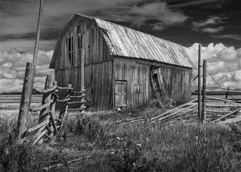 Old Decrepid Red Barn In Black And White Greeting Card By Randall Nyhof