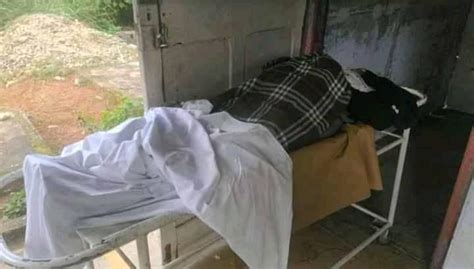 කෙහෙල් උගුඩුවා කෙහෙල් උගුඩුවා Added A New Photo