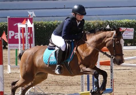 El Concurso Nacional de Saltos de Obstáculos reúne este fin de semana a