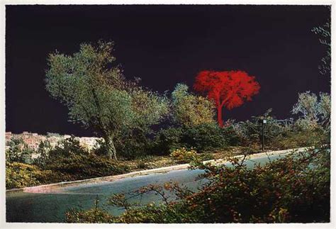 Trees Coursework Guide Tate