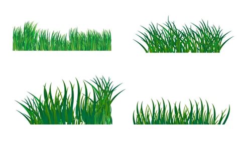 Grass Vector Illustration Stock Vector Image By ©silvae 2917105