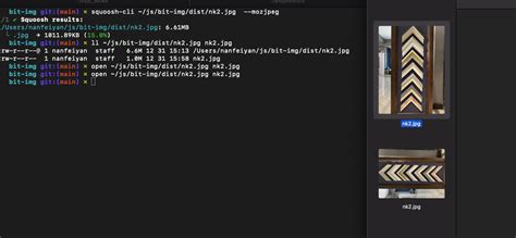 Cli Mode Mozjpeg Changed Direction In Some Picture Issue Googlechromelabs Squoosh Github