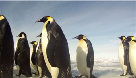 Україна виділила понад 11 мільйонів доларів на арктичні дослідження Читайте на Ukr Net