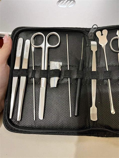 Complete Dissecting Kit Hobbies And Toys Stationary And Craft Stationery