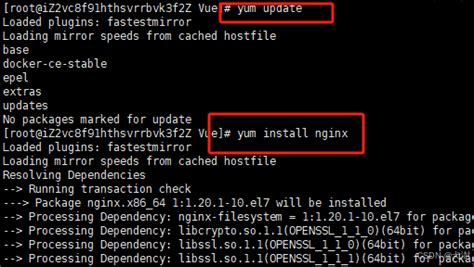 Windows Linux Net Core Vue Netcore Vue Csdn