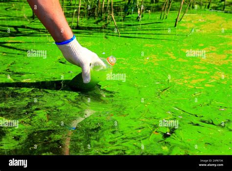 Global Pollution Of Environment And Water Bodies A Man Collects Green
