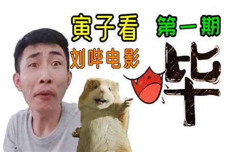 【寅子】看刘哔电影合集 第一期（弹幕版） 扣扣太子 扣扣太子 哔哩哔哩视频