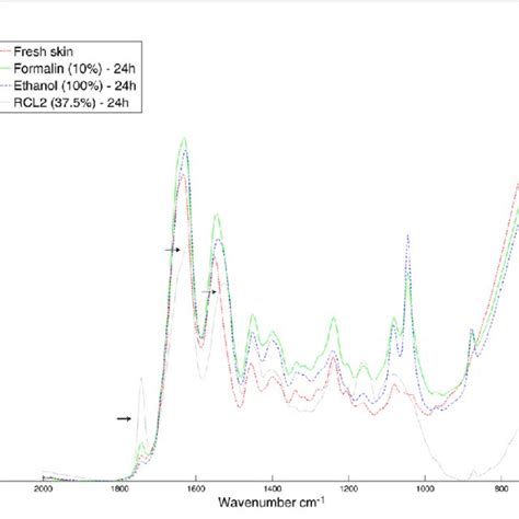 Fourier Transform Infrared Spectra Of Fresh Skin T 0 And Skins Fixed T