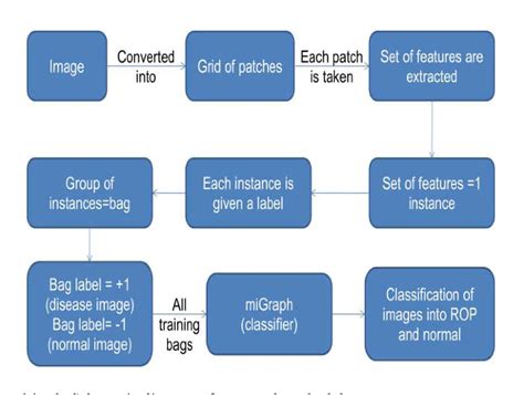 Figure 2 From Detection Of Retinopathy Of Prematurity Using Multiple Instance Learning
