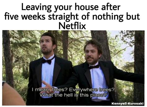 Has Anyone Watched The Oa On Netflix Meme Subido Por Kennyell