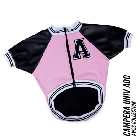 Campera Universitaria T2