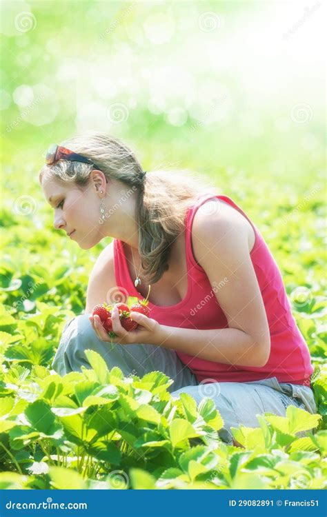 Girl Picking Strawberries Stock Image Image Of Gourmet 29082891