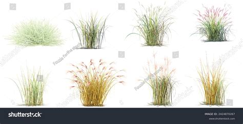 Architectural Grass Over 96956 Royalty Free Licensable Stock