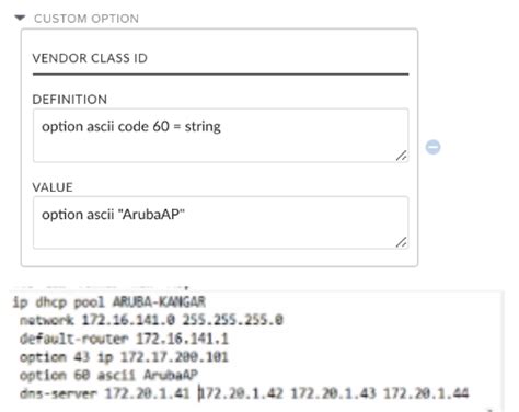Configure Custom Options For Dhcp Servers