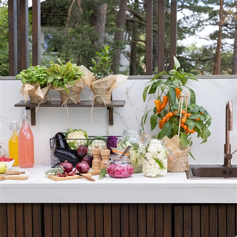 Ferment Vegetables How To Do It Plantagen