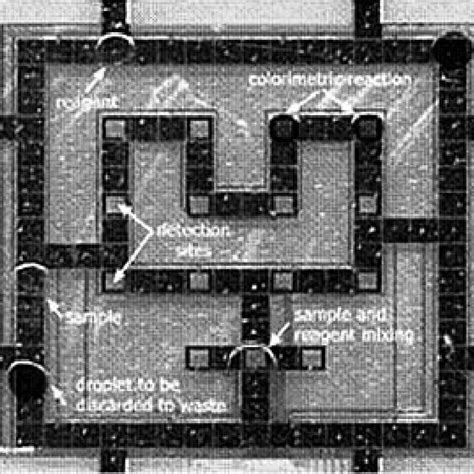 Fully Automated And Integrated Operation Of A Multiplexed Assay Lab On
