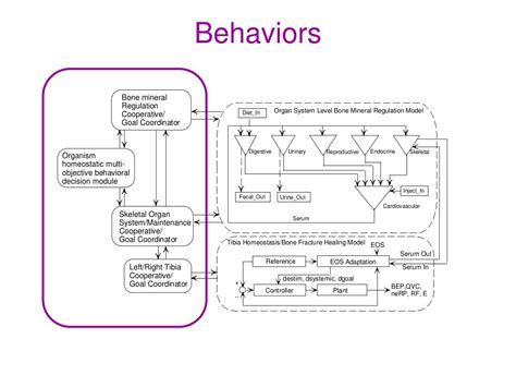 Ppt Examples Of Modeling And Simulating Large Scale Complex Systems