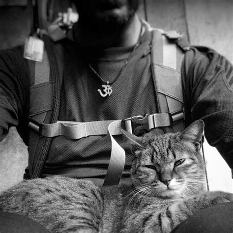 Simple Fieldcraft Youtube