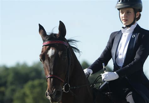 First Class Horse Complex Horse Riding Lessons Bristol Wi