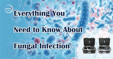 Everything You Need To Know About Fungal Infection Spooky2 Scalar