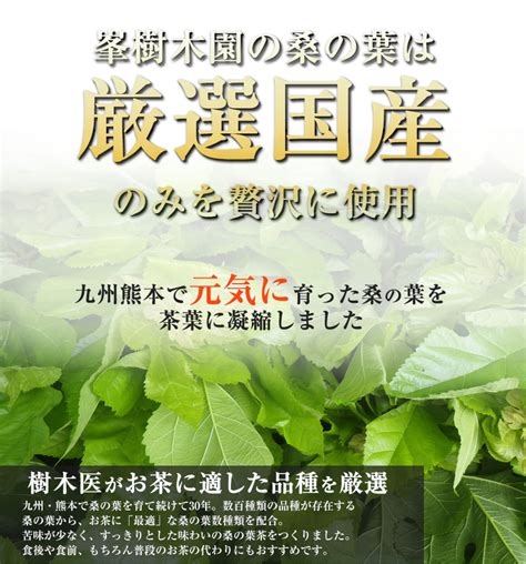 楽天市場国産 熊本県産 桑の葉茶 50gマルベリーハーブ メール便送料無料桑の葉桑の実専門店 峯樹木園
